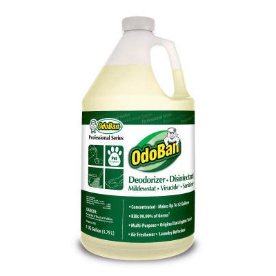 Clean Control Eucalyptus Scented, Concentrated Odor Eliminator-1 Gallon ...