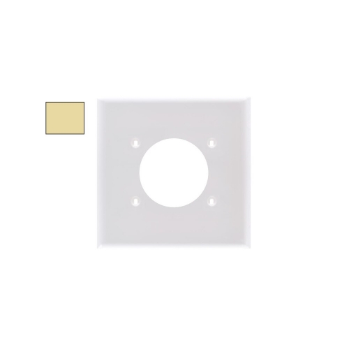 Aida 2-Gang Mid-Size Wall Plate, Power Outlet, Plastic, Ivory (Aida ...