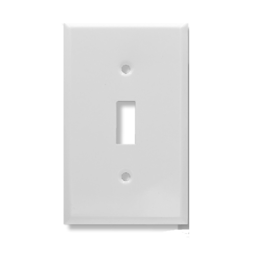 Aida 1-Gang Medium Single Outlet Wall Plate, Stainless Steel (Aida ...