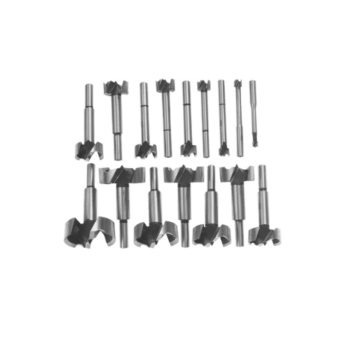 Bosch 16 pc. Forstner Wood Bit Set w/ Case (Bosch FB1600 ...