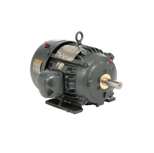 US Motors 111900W 841 Plus Motor, 445TS FRME, 1785 RPM, 150 HP, 60 Hz ...