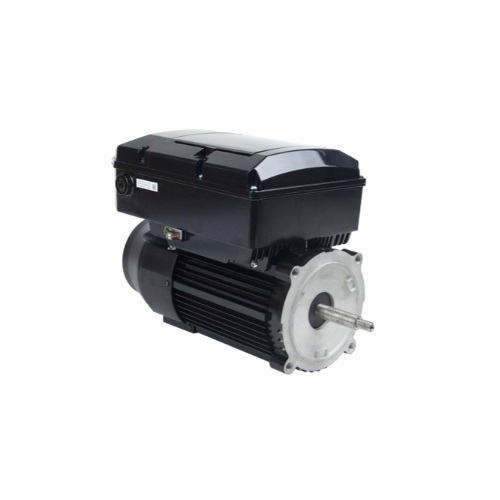 US Motors Neptune Pool & Spa Motor, 56J, 600-3450 RPM, 1.25 HP, 115V ...