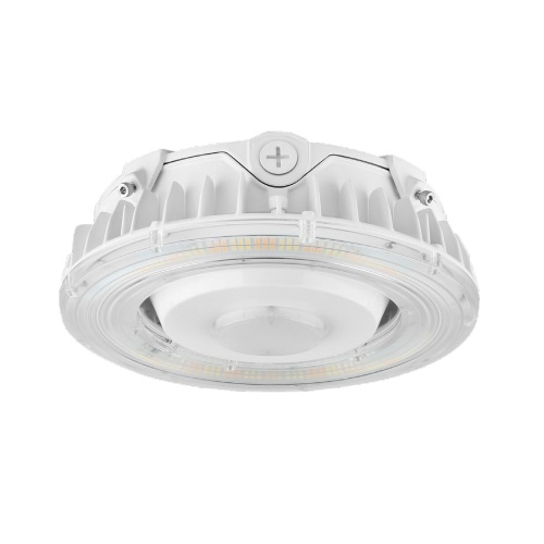 EnVision 100W Wattage & CCT Selectable Canopy Light, Round, 120V-277V ...