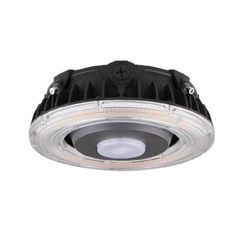 EnVision 55W Wattage & CCT Selectable Canopy Light, Round, 120V-277V ...