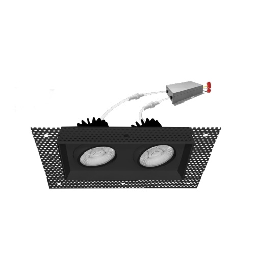 EnVision 4-in 30W Double Head Downlights, 120V, Selectable CCT ...