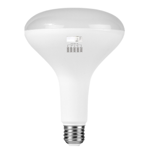 ESL Vision 13W LED BR40 Bulb, E26, 90 CRI, 1050 lm, 120V, Selectable ...