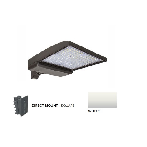 ESL Vision 250W LED Shoebox Area Light w/ Direct Arm Mount, 0-10V Dim ...