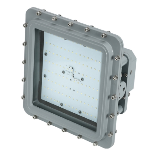 ESL Vision 20W LED Small Hazardous Flood Light, Class 1, Div 1, 120V ...
