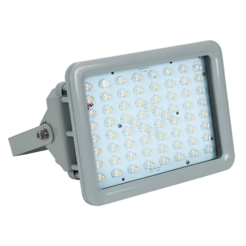 ESL Vision 250W LED X-Large Hazard Flood Light, Class 1, Div 2, 200V ...