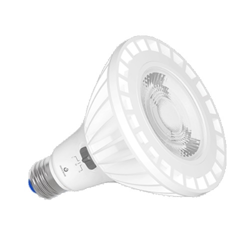Green Creative 24W LED PAR38 Bulb, Flood, E26, 2500 lm, 120-277V, 3000K ...