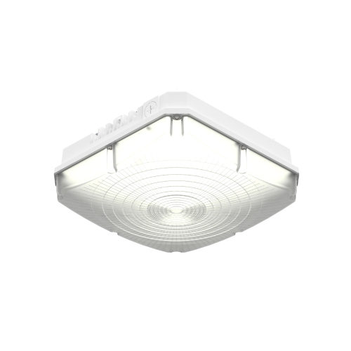 ILP Lighting 28/40/60W Viewpoint Canopy, Medium, 120V-277V, CCT Select ...