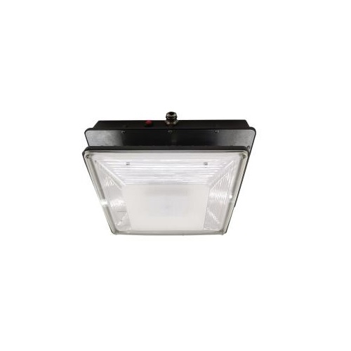MaxLite 40W LED Canopy Light w/ 0 Deg Backup & Photocell, Canopy, 4938 ...