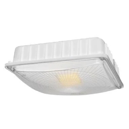 MaxLite 55W Canopy Light, Parking, 120V-277V, 5000K, White (MaxLite ...