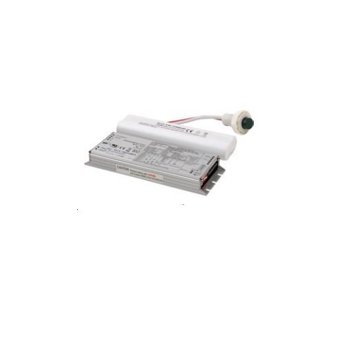 NaturaLED LED Emergency Driver for 120V Flush Mount Accent (NaturaLED ...