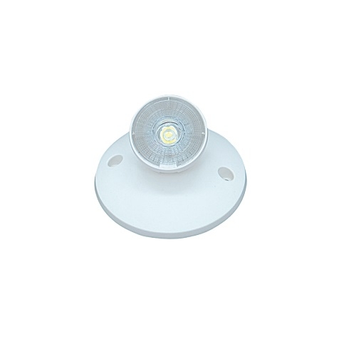 Royal Pacific 1W LED Remote Head for Emergency Lights, Single, Wide ...