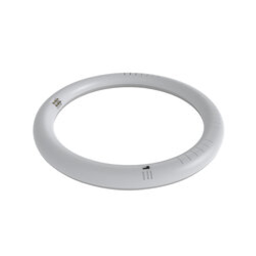 LEDVANCE Sylvania 16W 12-in Dualescent Universal Circline Lamp, T9, CCT ...