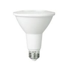 What are PAR30 LED Light Bulbs Used For? | HomElectrical.com